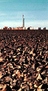 Patience, persistence preceded Elephant discovery in Libya | Oil & Gas ...