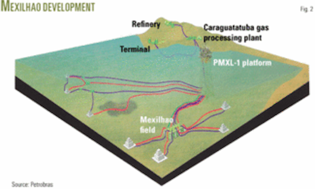 Mexilhao development includes largest fixed platform off Brazil | Oil ...