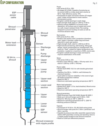 DEEPWATER ESP—1: Subsea, downhole 1,200-hp ESP produces Jubarte well ...