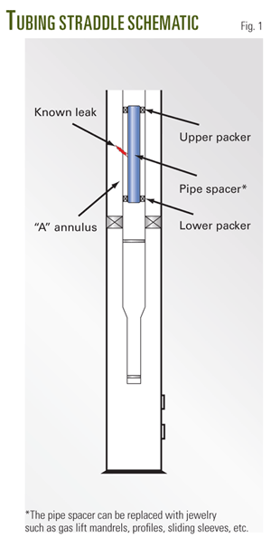 Single-set CT straddle packers successful in Alaska | Oil & Gas Journal