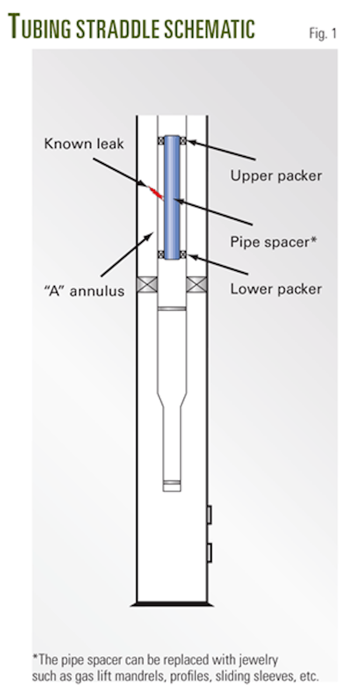 Single-set CT straddle packers successful in Alaska | Oil & Gas Journal