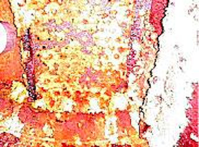 Case studies demonstrate guidelines for reducing fouling in ...