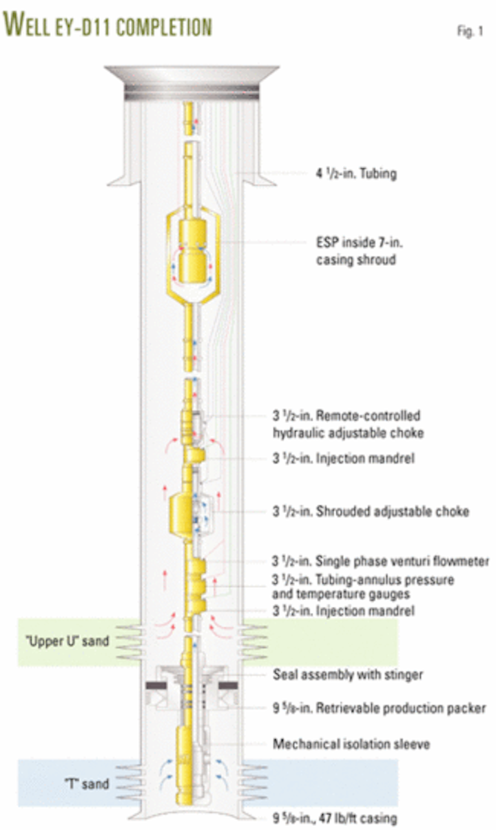 Intelligent choking improves production, economics in Ecuador ...