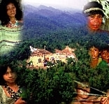 Petroleum's brave new world | Oil & Gas Journal