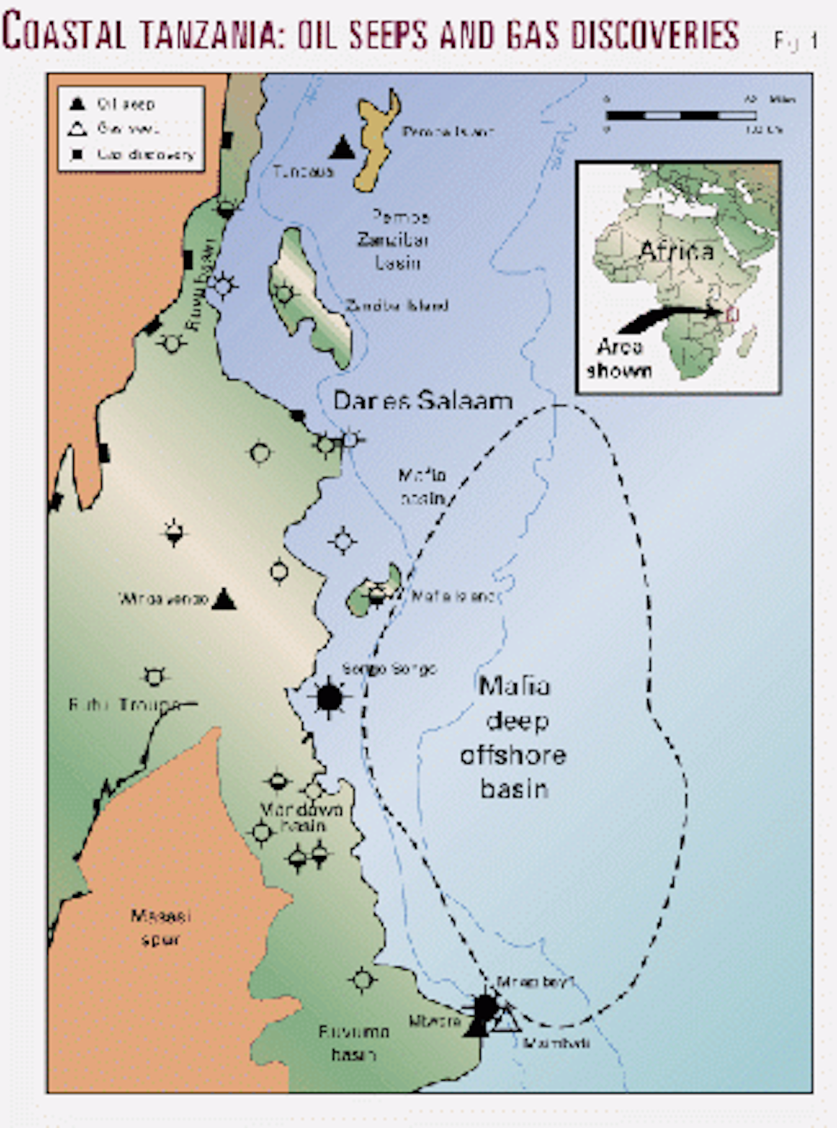 Tanzania's Mafia deepwater basin indicates potential on new seismic ...