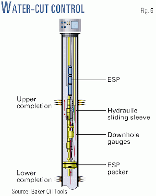 Smart, intelligent wells provide real-time well control, monitoring ...