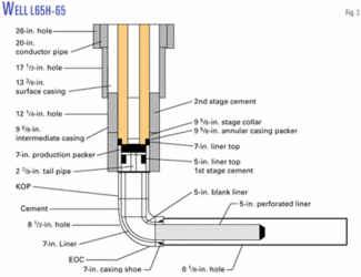 Well Completion Schematic For Well01 Horizontal Drilling And