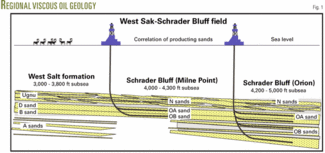 Swelling-rubber packer enhances multilateral viscous oil production ...