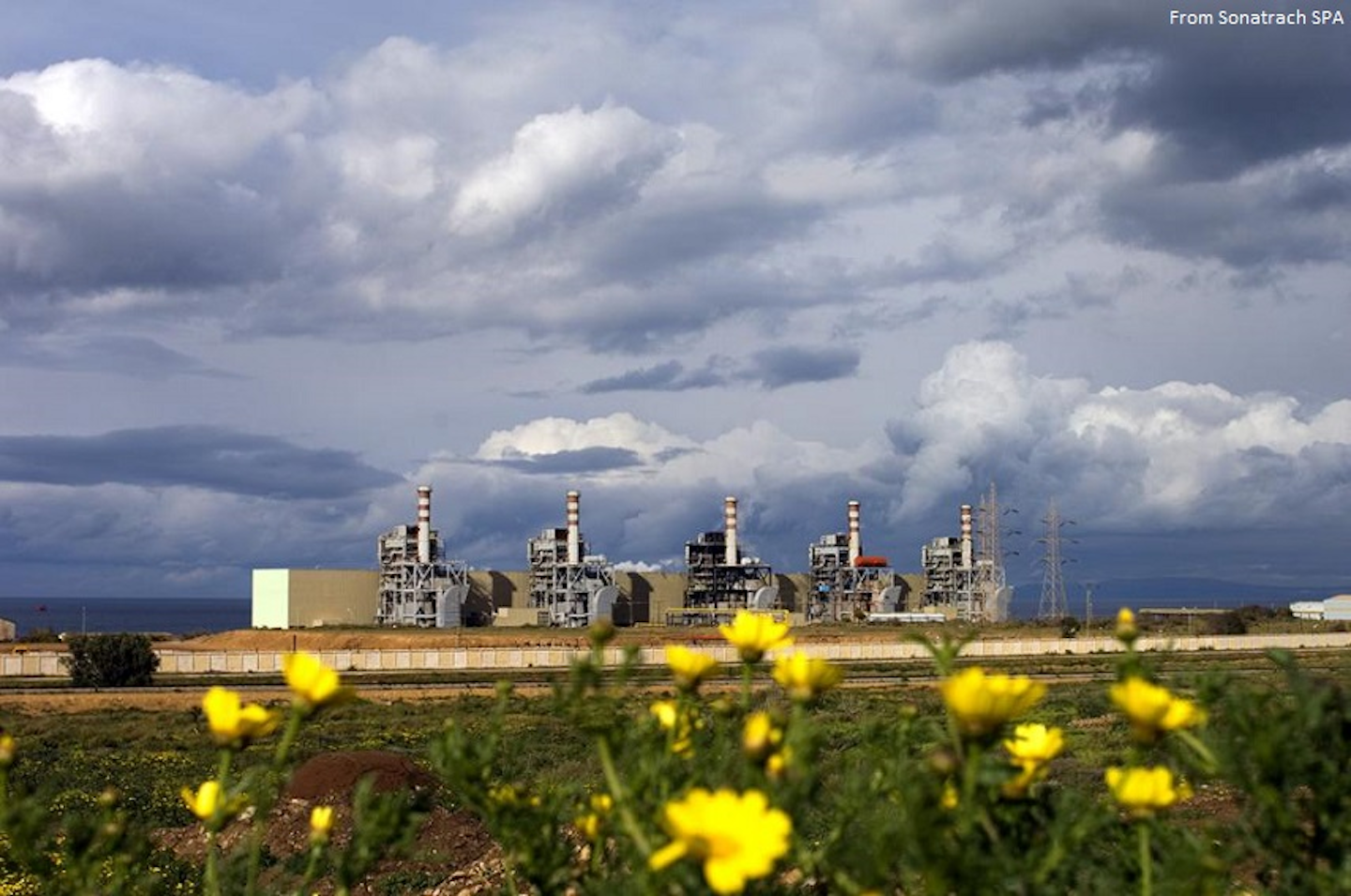 Algeria lets contracts for refining, petrochemical units | Oil & Gas ...