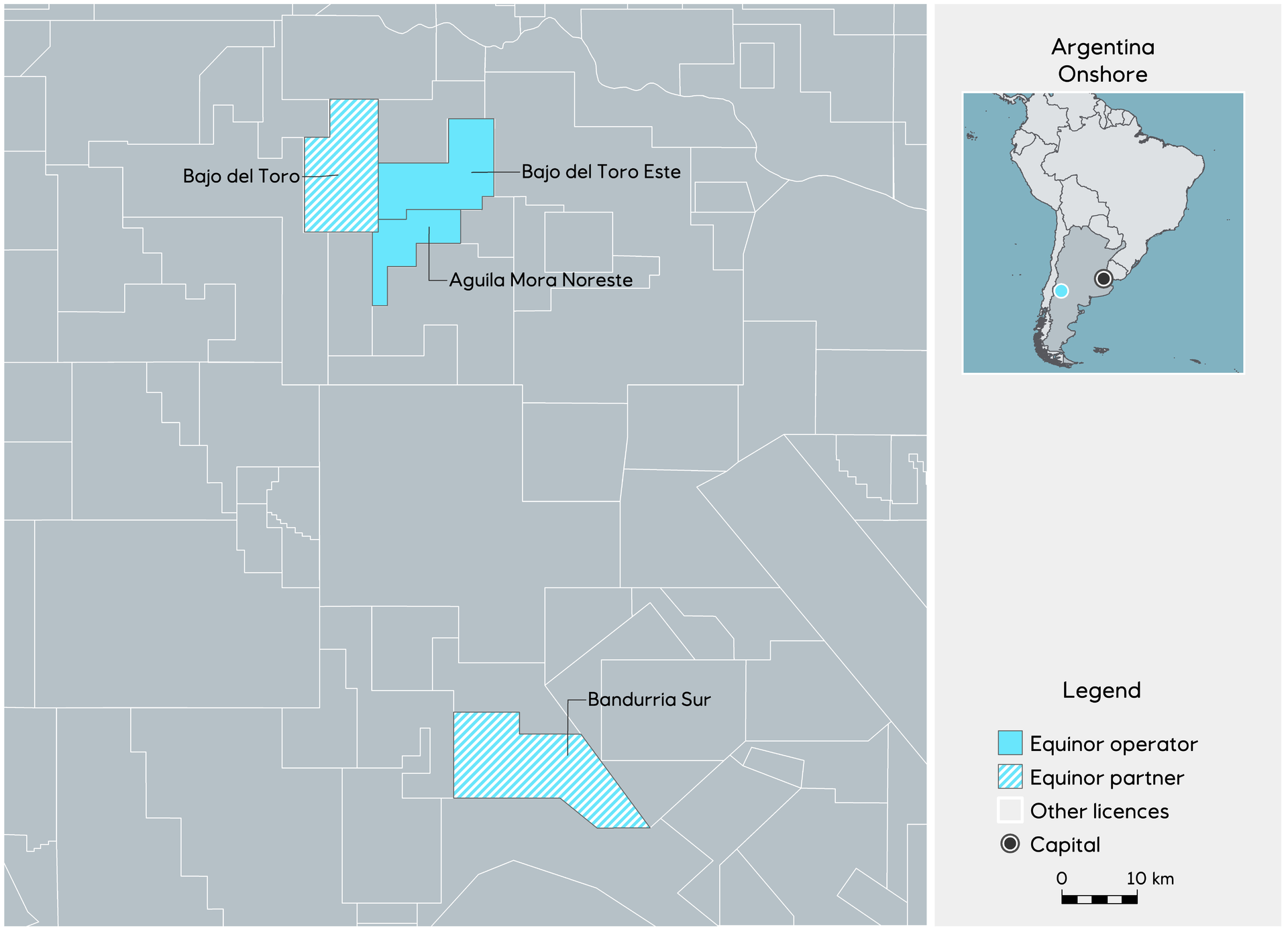 Equinor, Shell complete Vaca Muerta farm-in, advance additional ...