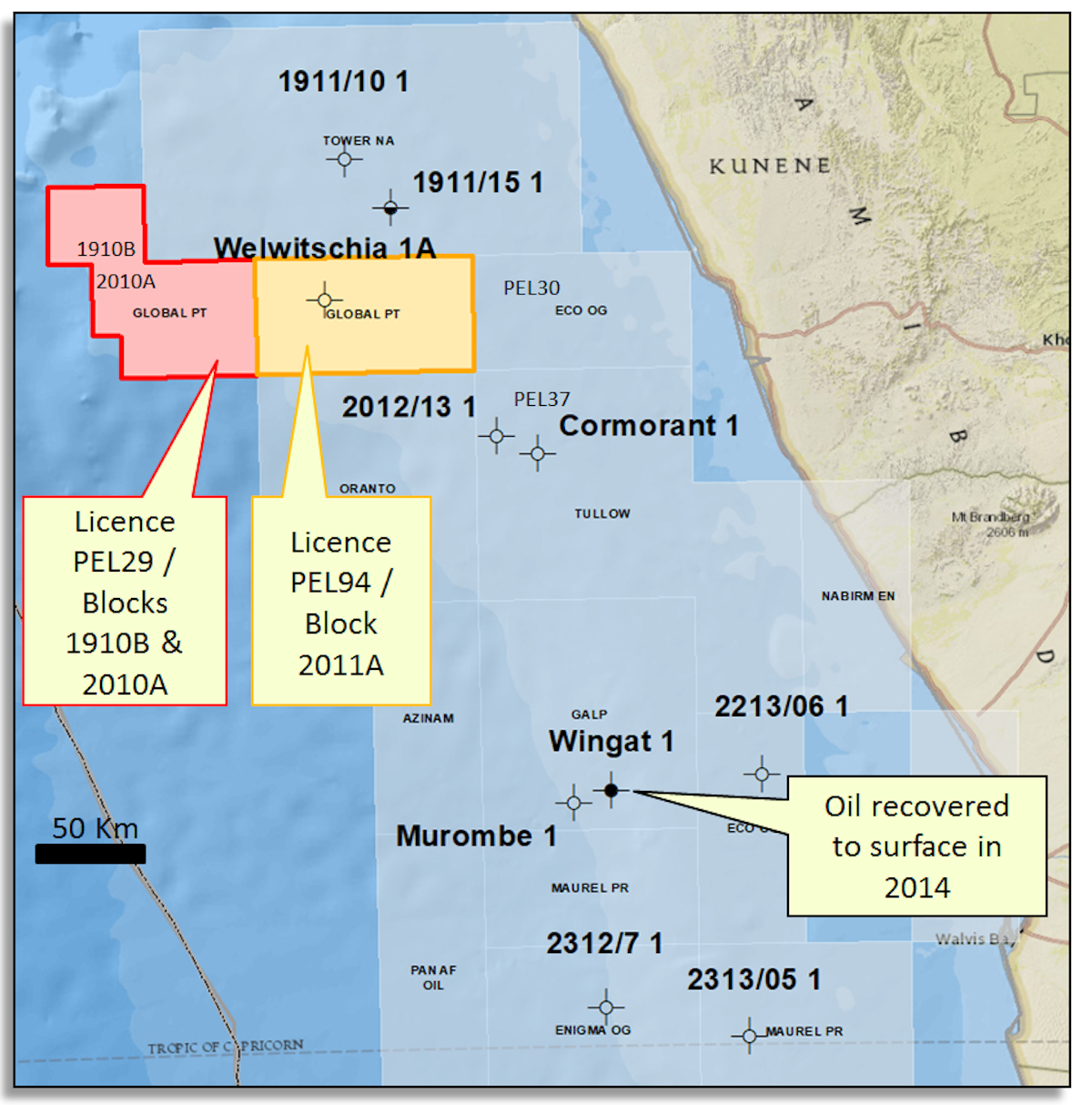 Global gains license extension to study Marula, Welwitchia prospects ...