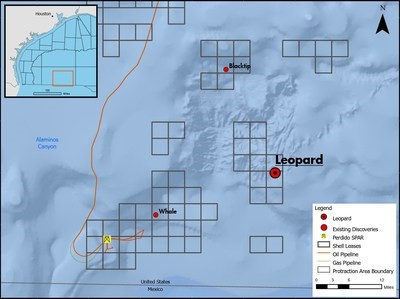 Shell to define development options for US Gulf of Mexico discovery ...