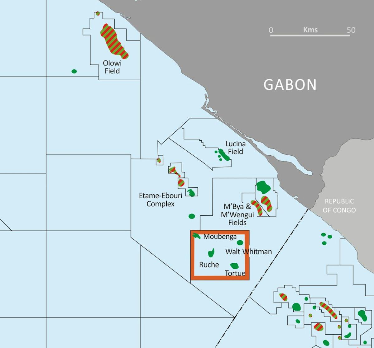 BW Energy makes oil discovery at Hibiscus North offshore Gabon | Oil ...