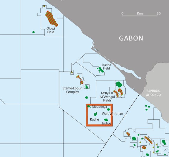BW Energy makes oil discovery at Hibiscus North offshore Gabon | Oil ...