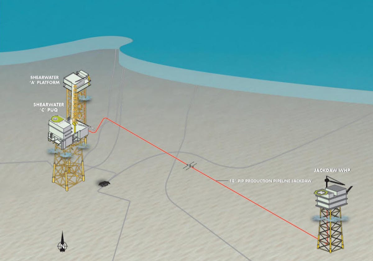 Shell submits amended environmental statement for Jackdaw | Oil & Gas ...
