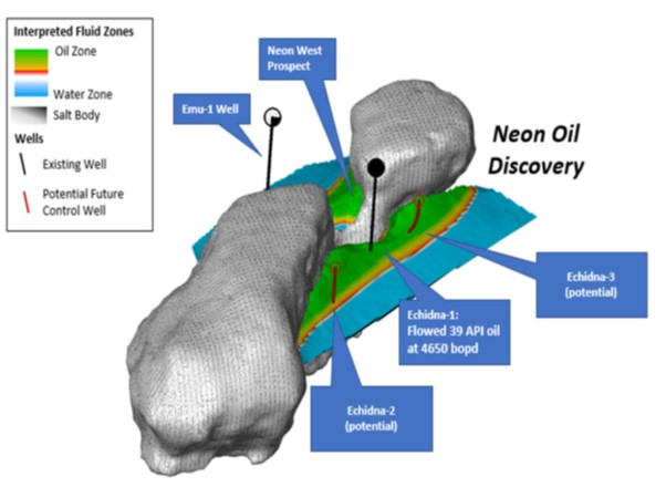 Karoon to drill control well on Neon oil discovery offshore Brazil ...