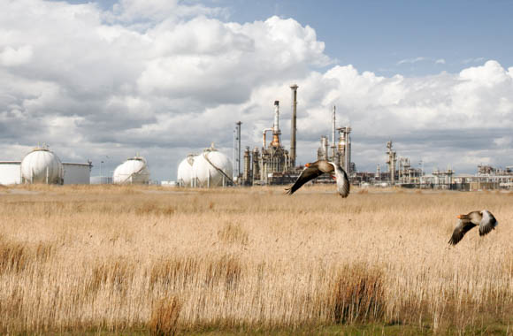 Gunvor lets contract for proposed Rotterdam hydrogen terminal | Oil ...